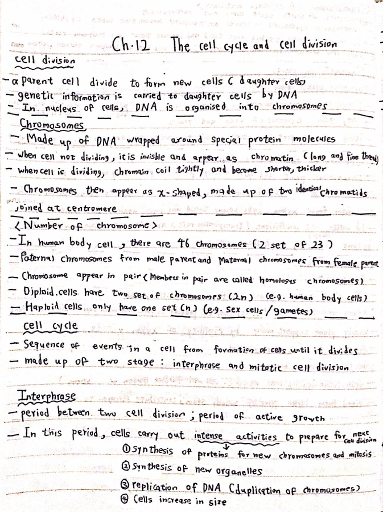 Biology Notes (Ch.12 The Cell Cycle and Cell Division) | PDF