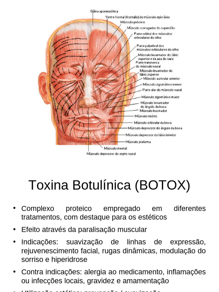 Aula12. Miologia Da Face | PDF
