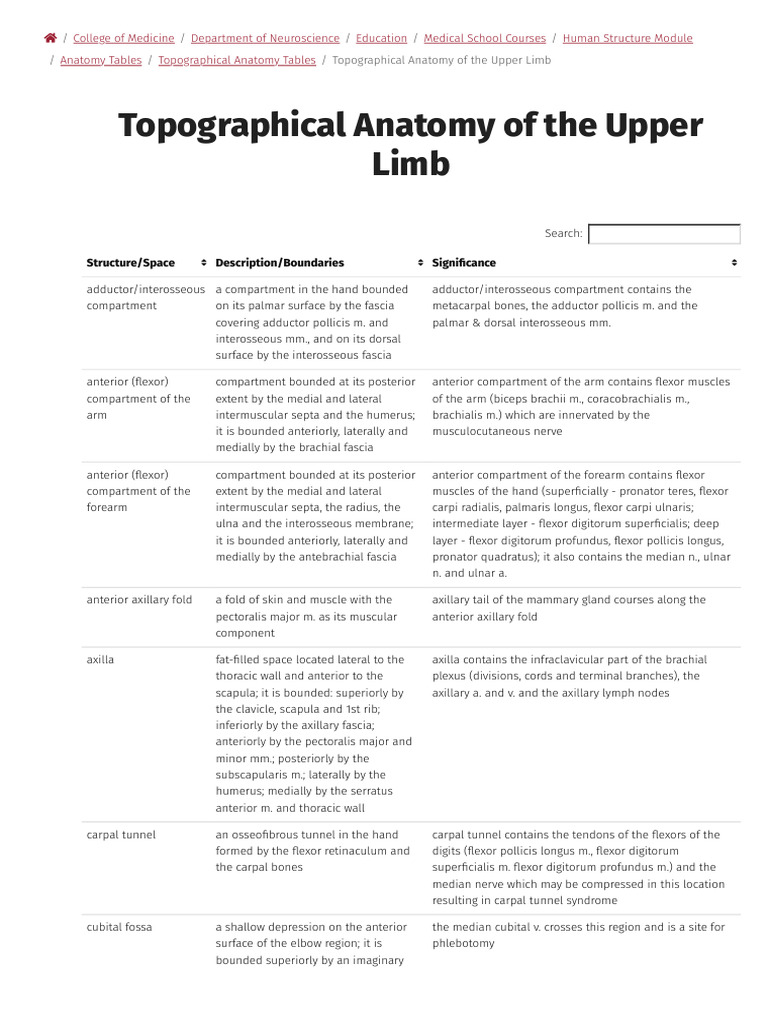 Topographical Anatomy of The Upper Limb - UAMS Department of ...