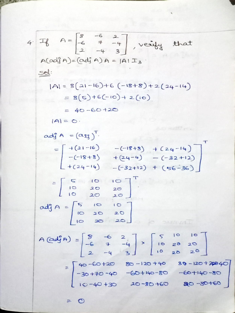 12th Mathematics 1st Lesson Matrix Class Work PDF | PDF