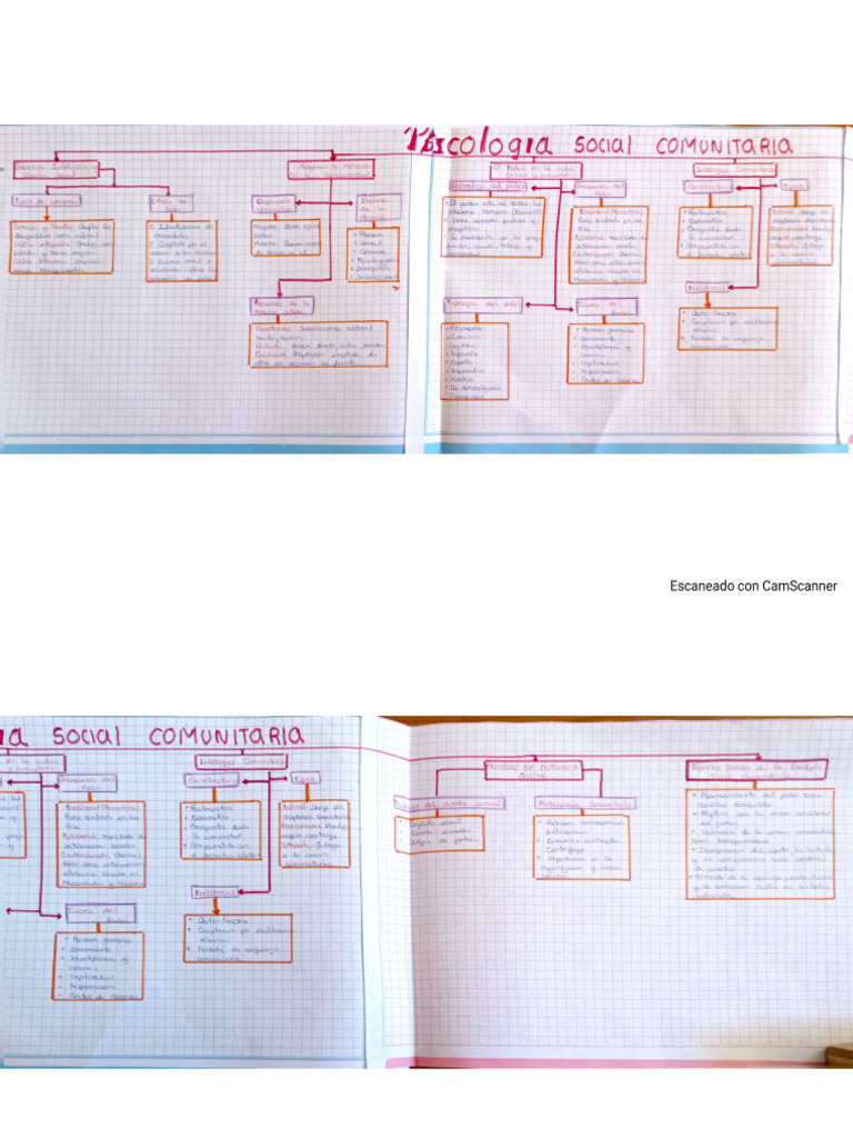 Esquema Psicológia Social Comunitaria | PDF