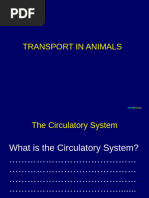 Human vs Fish Circulatory Systems | PDF | Circulatory System | Heart