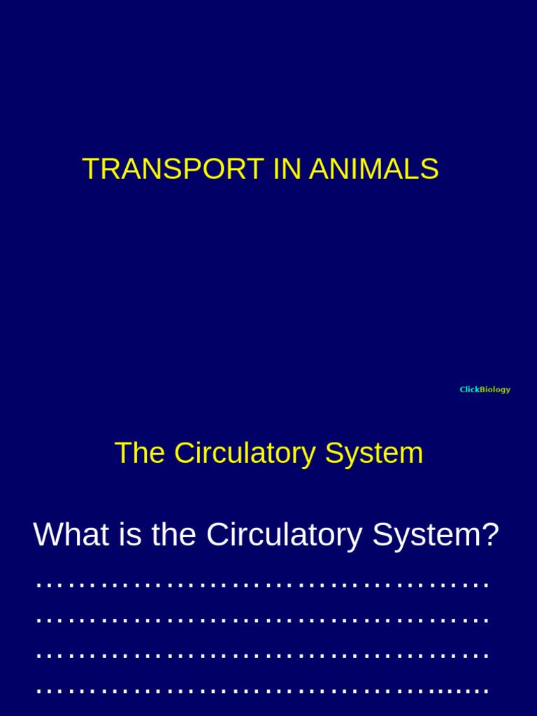 Transport in Animals | PDF | Circulatory System | Heart