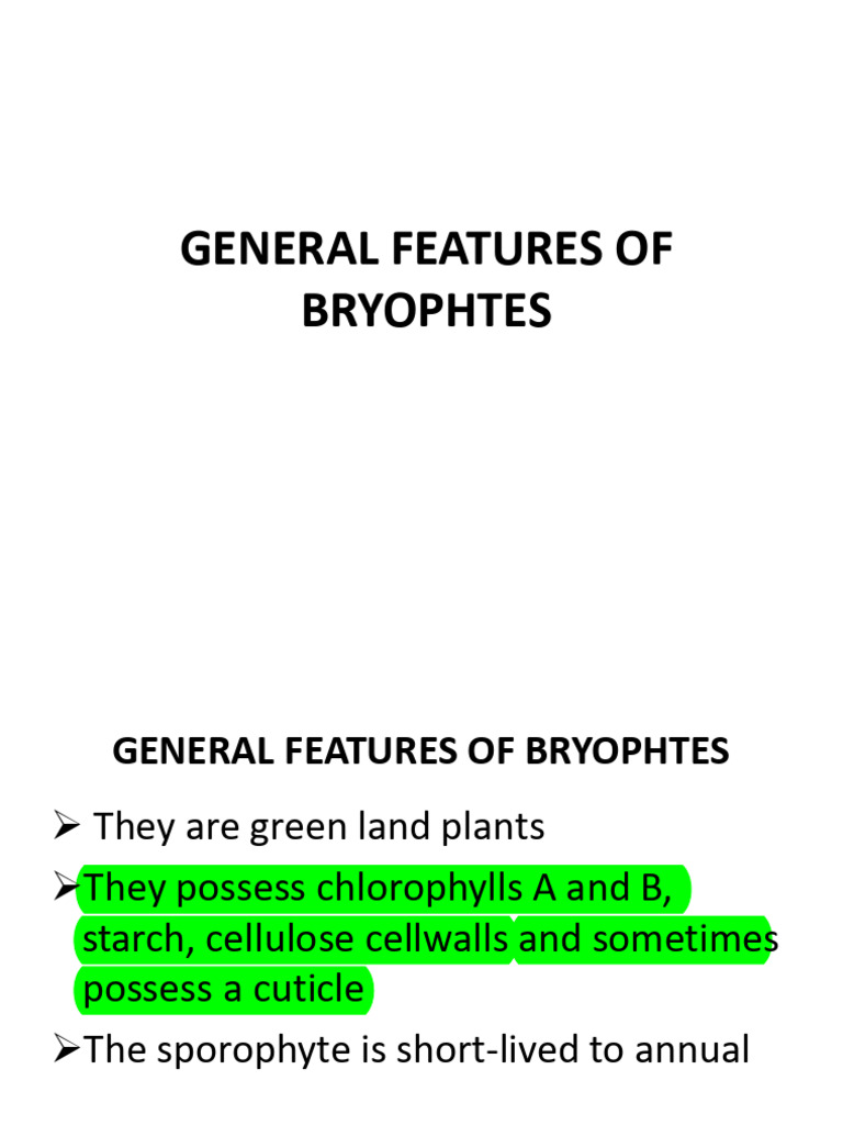 General Features of Bryophytes | PDF | Moss | Plants