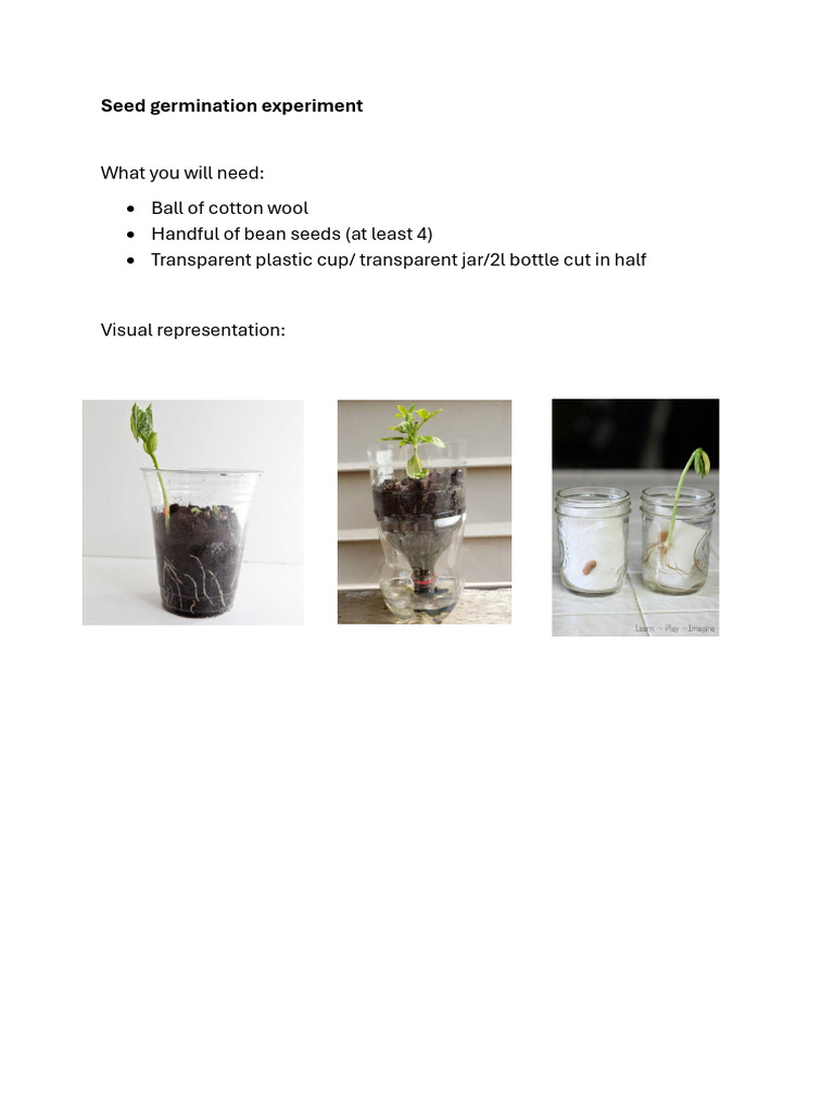 Seed Germination Experiment | PDF
