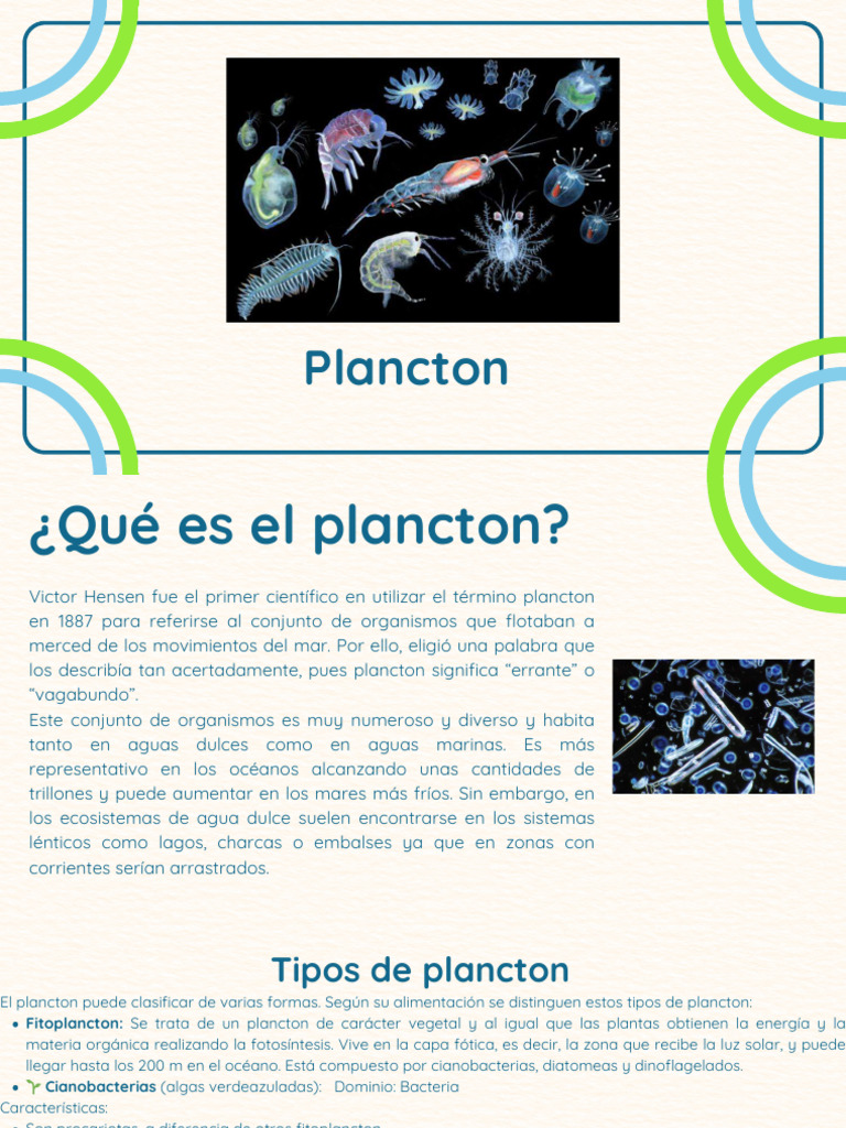 Tipos y funciones del plancton | PDF | Dióxido de carbono | Fitoplancton