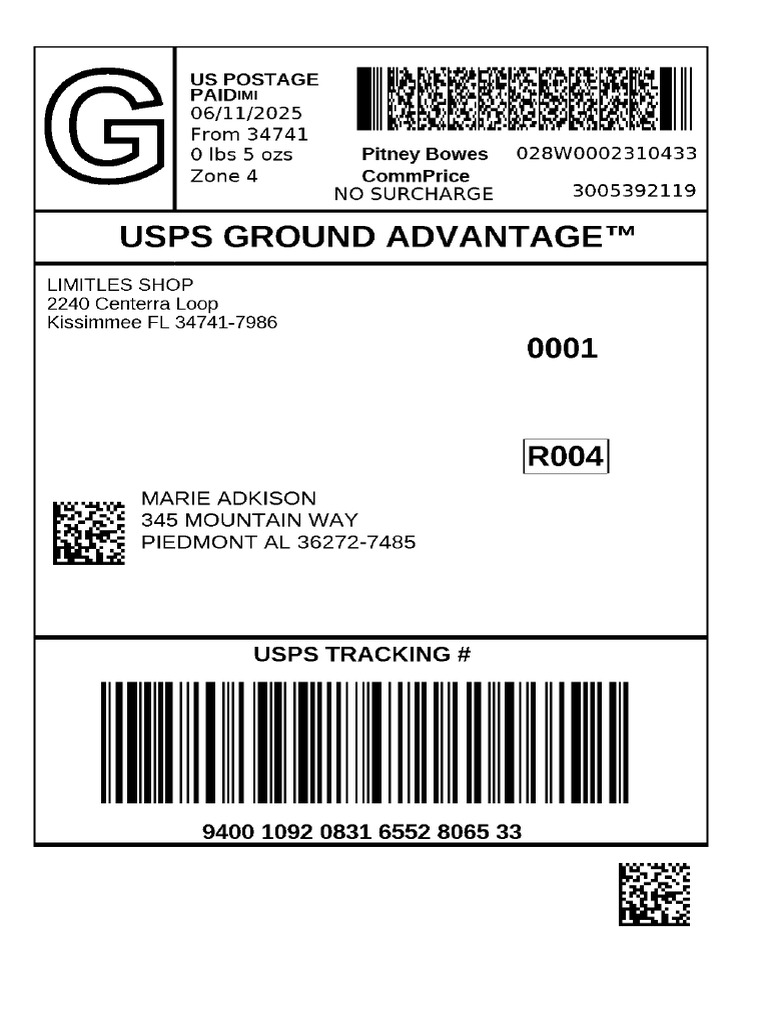 06-11 - 01-03-43 - Shipping Label | PDF