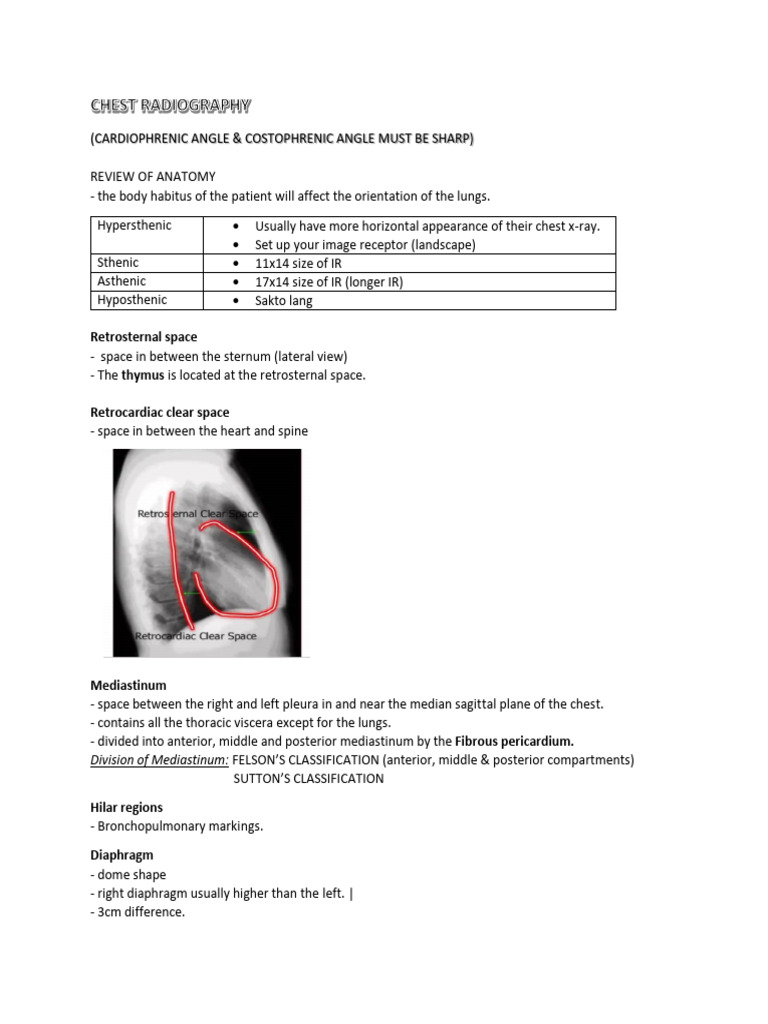 Chest X-Ray Anatomy and Positioning Guide | PDF | Thorax | Lung