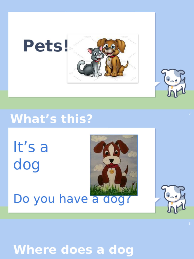 Pets Picture Description Exercises 125487 | PDF