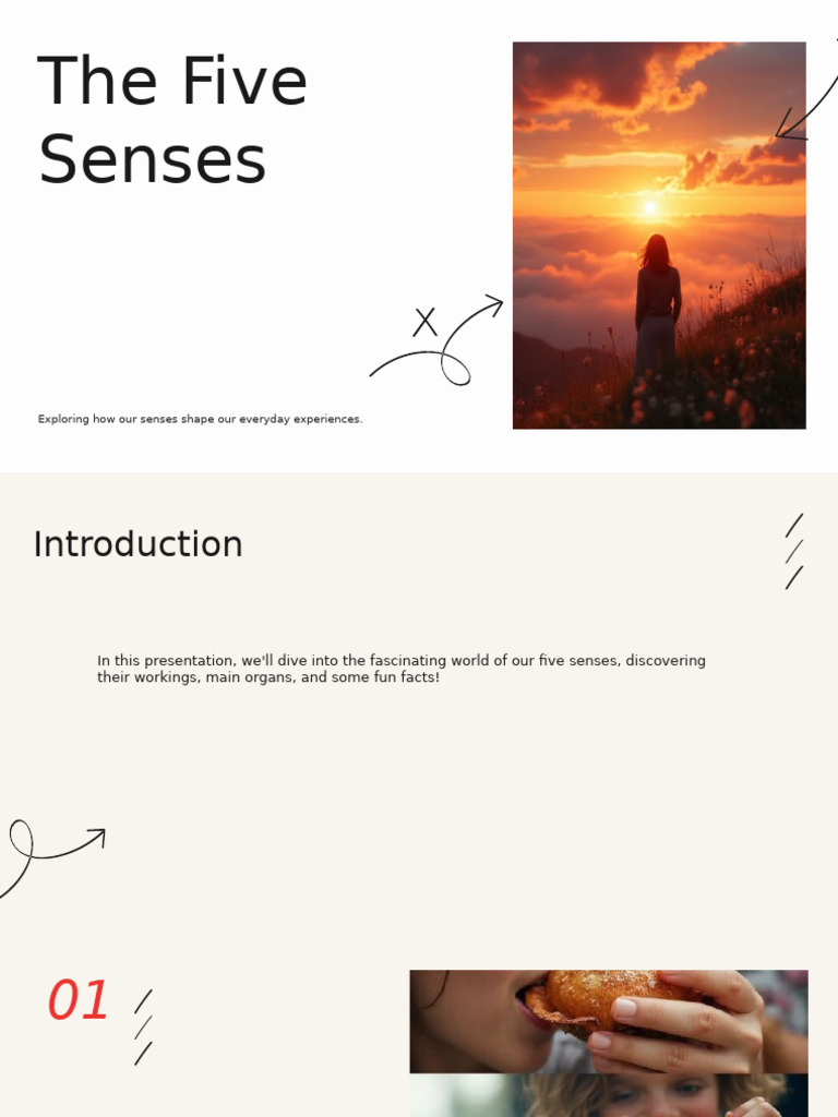 Understanding the Five Senses | PDF