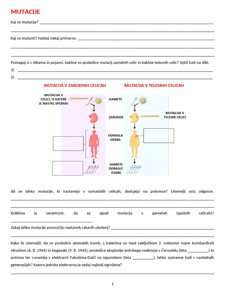 Mutacije UL 2 | PDF