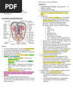 Life Science Grade 11 Term 3 Notes | PDF | Kidney | Urine