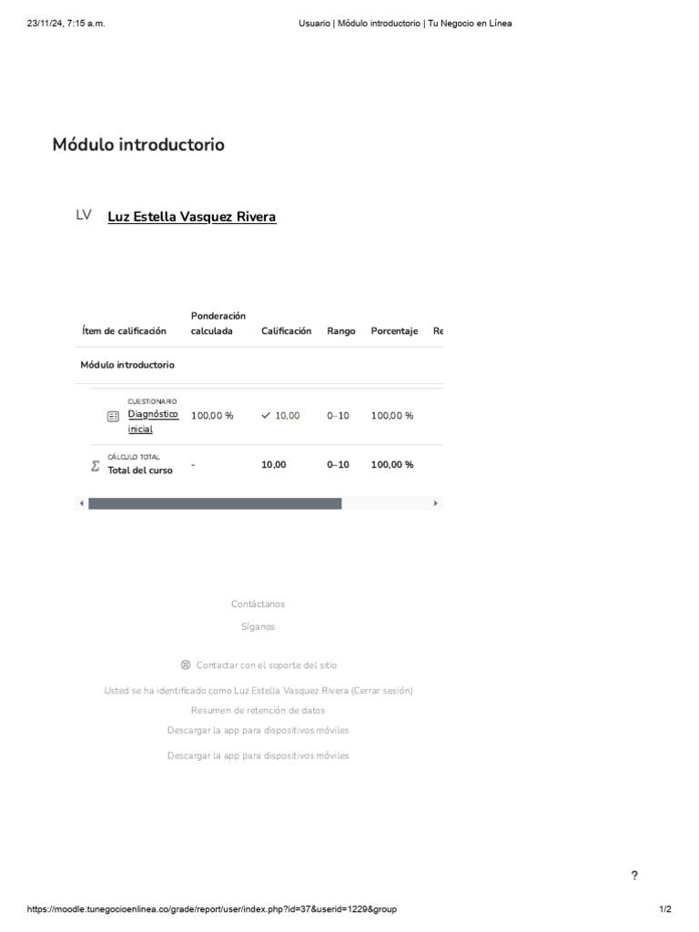 Usuario - Módulo Introductorio - Tu Negocio en Línea | PDF