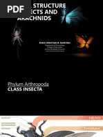 Tagmosis | PDF | Insects | Arthropodology