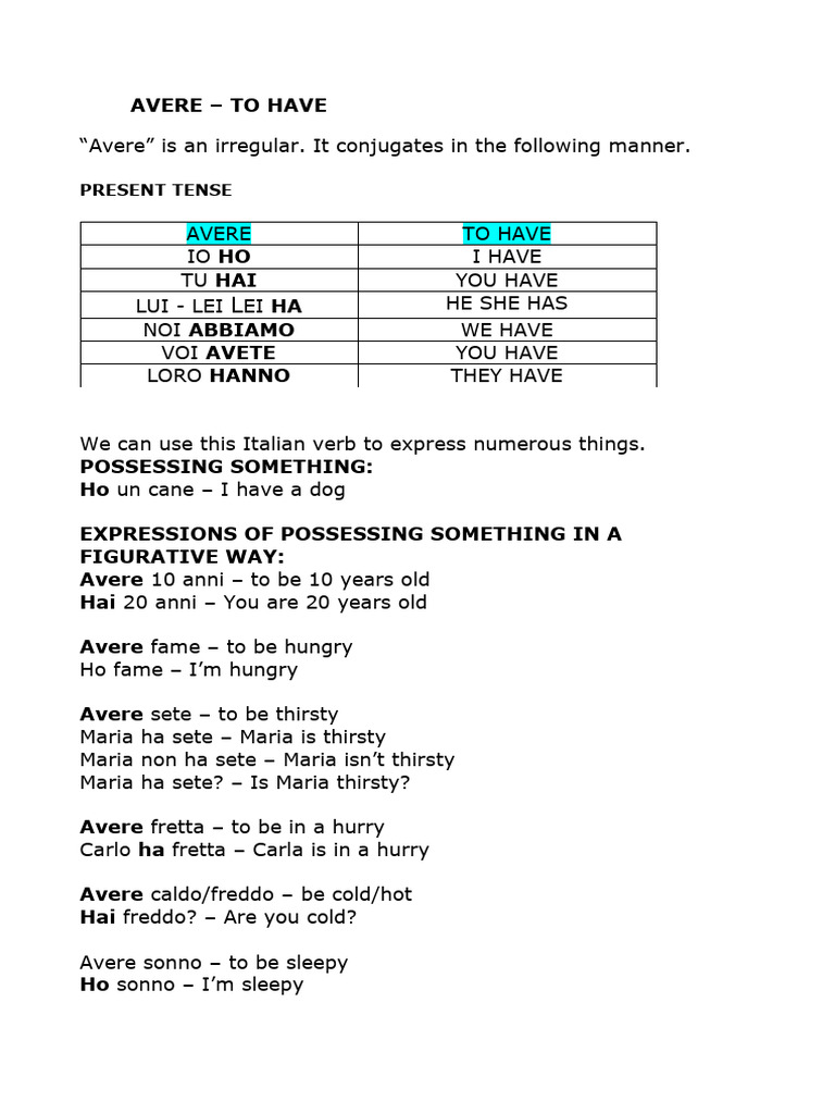 Understanding the Italian Verb Avere | PDF