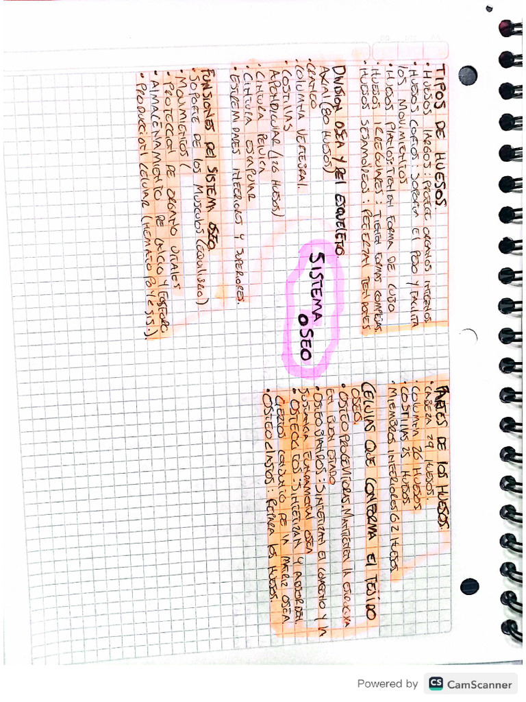 DOC-mapas Mental . | PDF