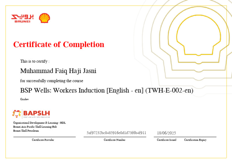 Workers Induction | PDF