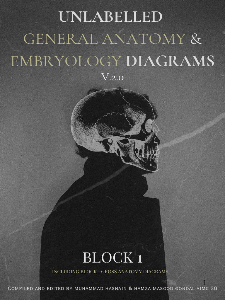Unlabelled Block 1 Diagrams & Clinicals Ospe - pdf.PDF-compressed | PDF | Vein | Artery