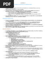 Urochordata Classification Overview | PDF | Chordates