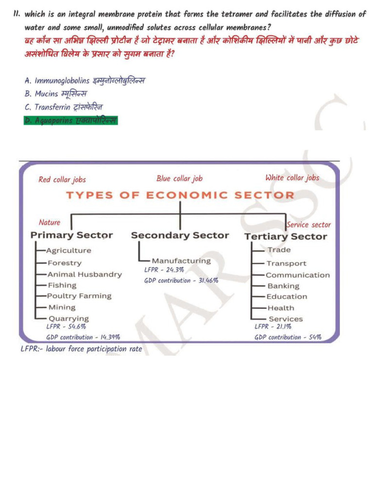 Imp Ques of GK | PDF