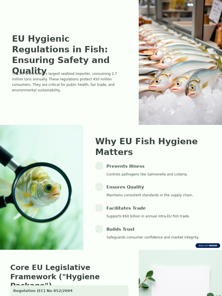 EU Fish Hygiene Regulations Explained | PDF | Drinking Water | Hazard ...