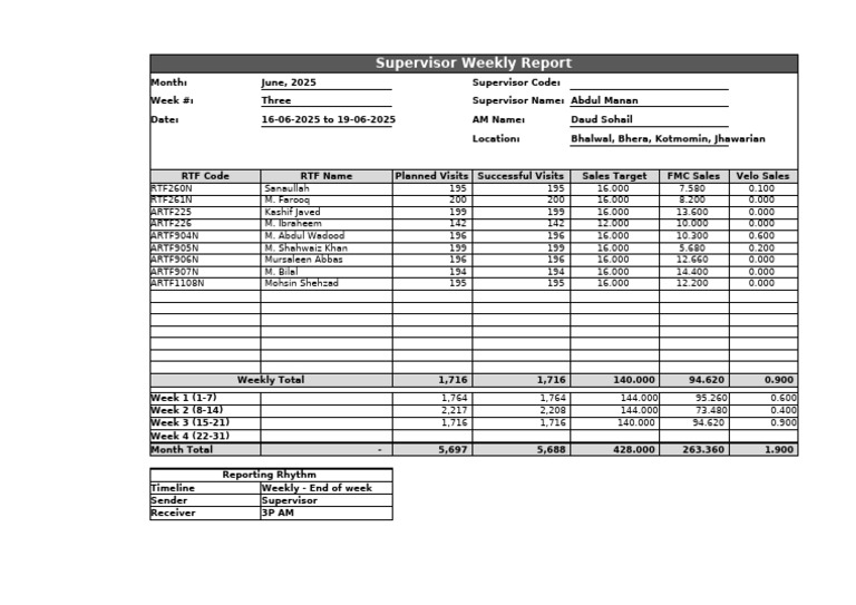 Supervisor Weekly Sales Report - June 2025 | PDF