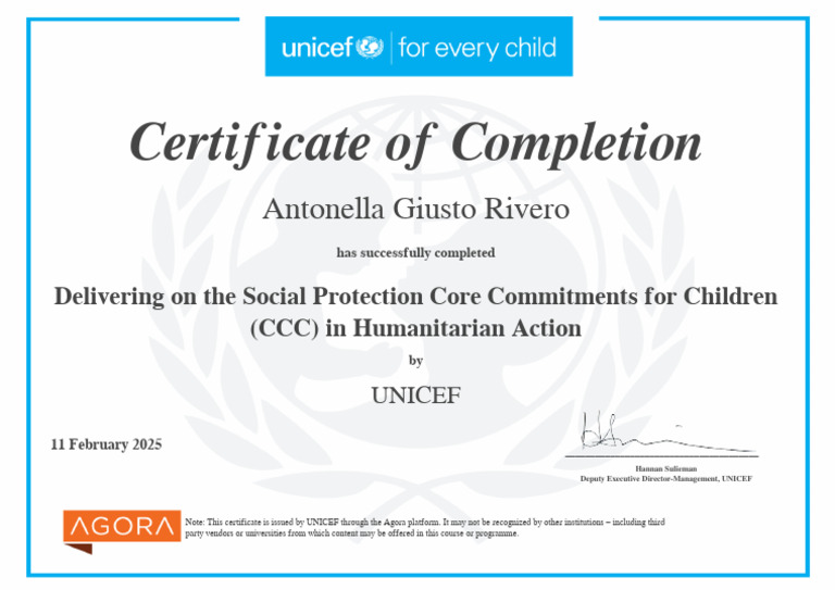 Delivering On The Social Protection Core Commitments For Children | PDF