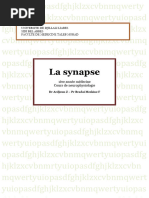Schéma Synapse Neuro-Neuronique et Neuromusculaire | PDF | Synapse ...
