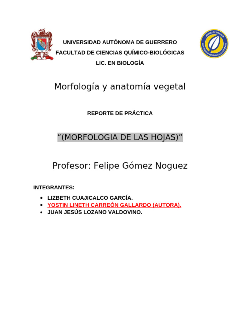 Práctica Hoja Morfologia | PDF | Hoja | Tallo de la planta
