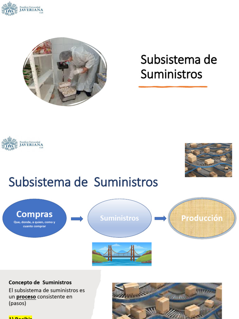 Subsistema Suministros | PDF | Alimentos