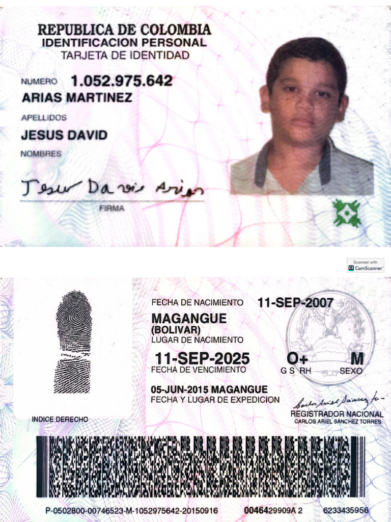 T.I Jesus Arias | PDF