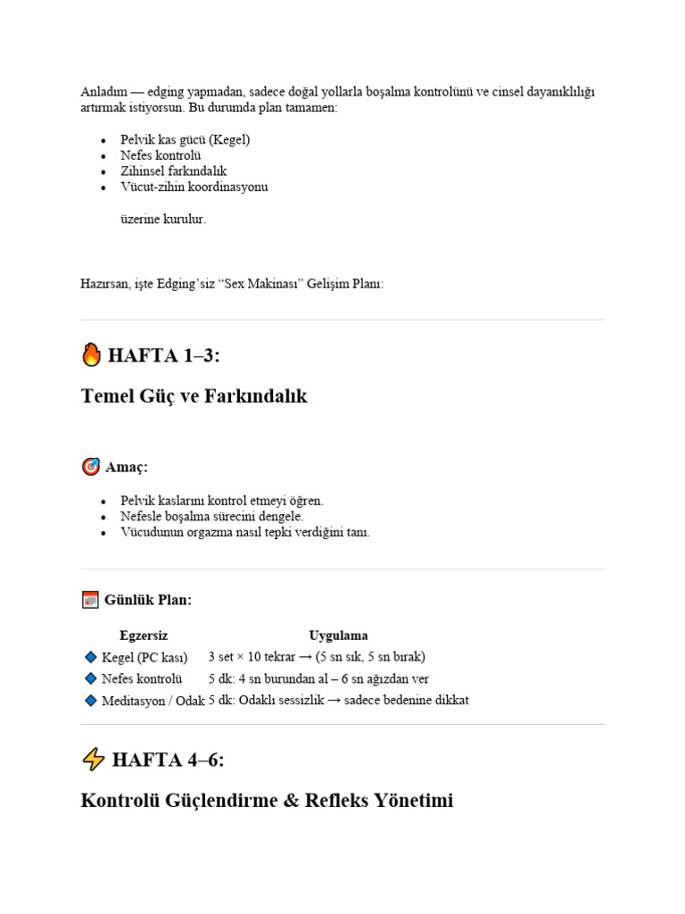 TRL Plan | PDF