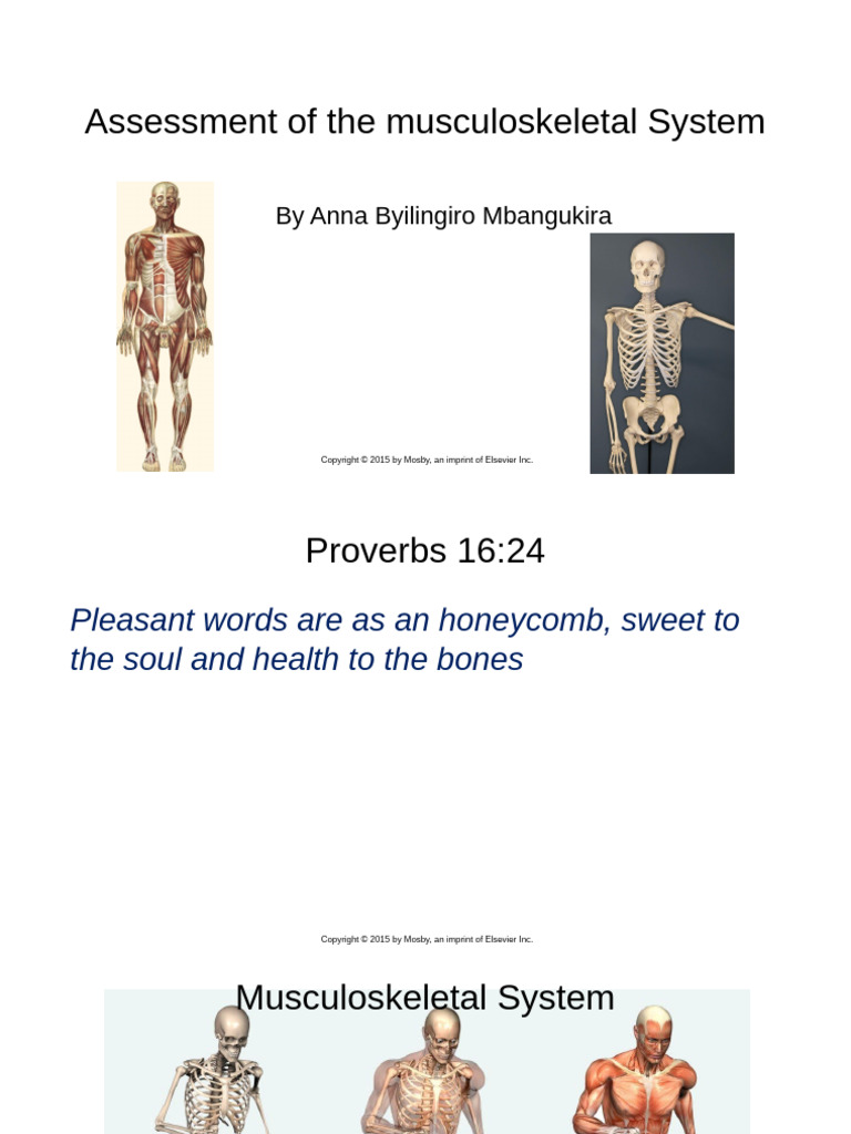 Assessment of The Musculoskeletal System | PDF | Anatomical Terms Of ...