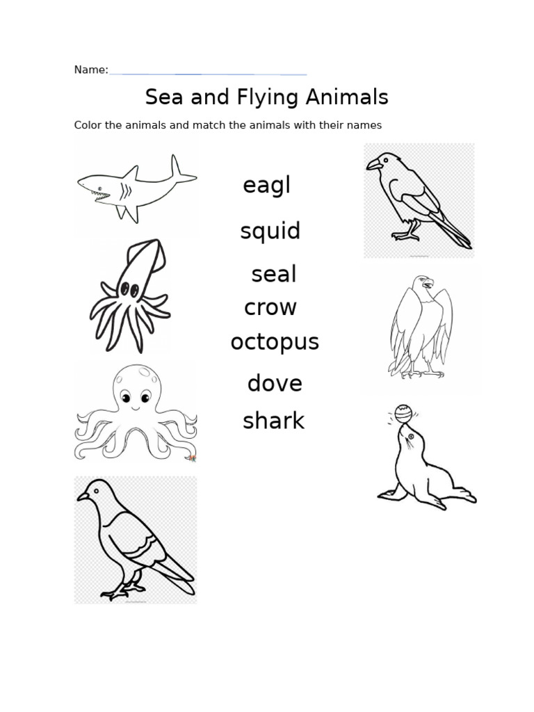 Sea and Flying Animals Worksheet | PDF