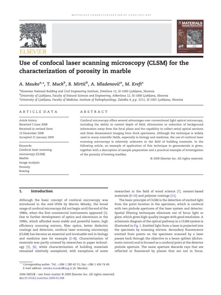 Use of Confocal Laser Scanning Microscopy CLSM For TH - 2009 ...
