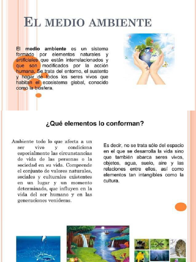 El Medio Ambiente | PDF