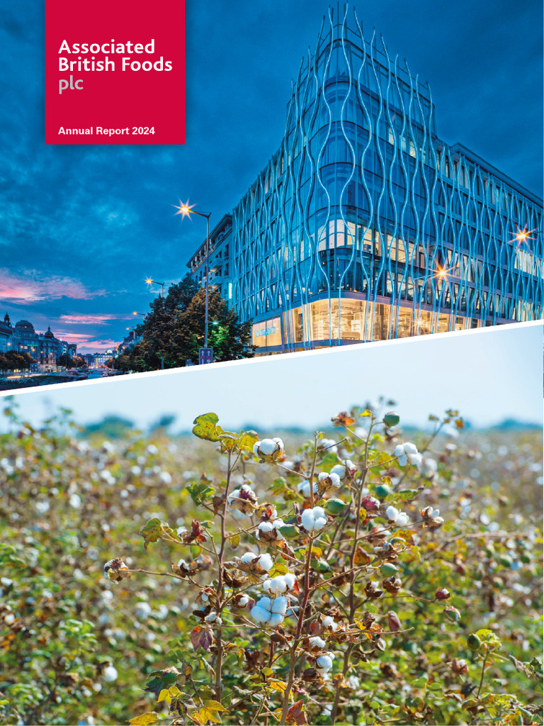 Abf Annual Report 2024.PDF - Downloadasset | PDF | Dividend | Inflation