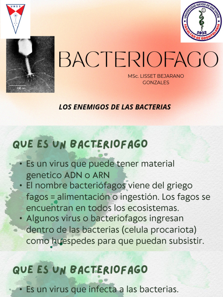Bacterio Fa Go | PDF | Bacteriófago | Las bacterias