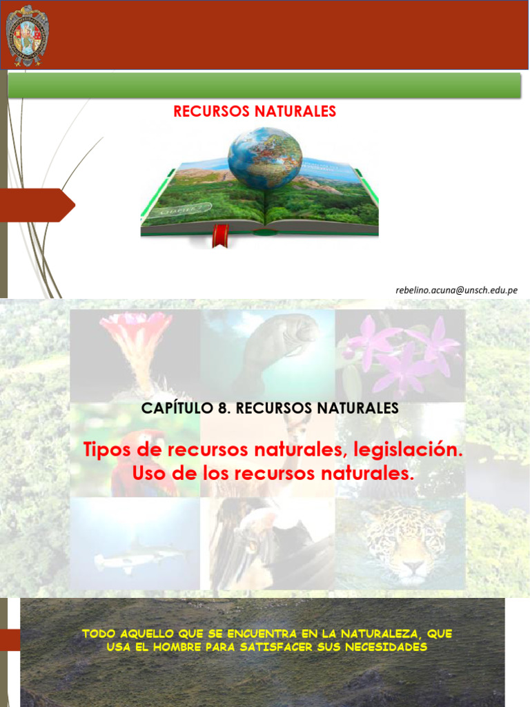 Tipos y Uso de Recursos Naturales | PDF | Los bosques | Rieles