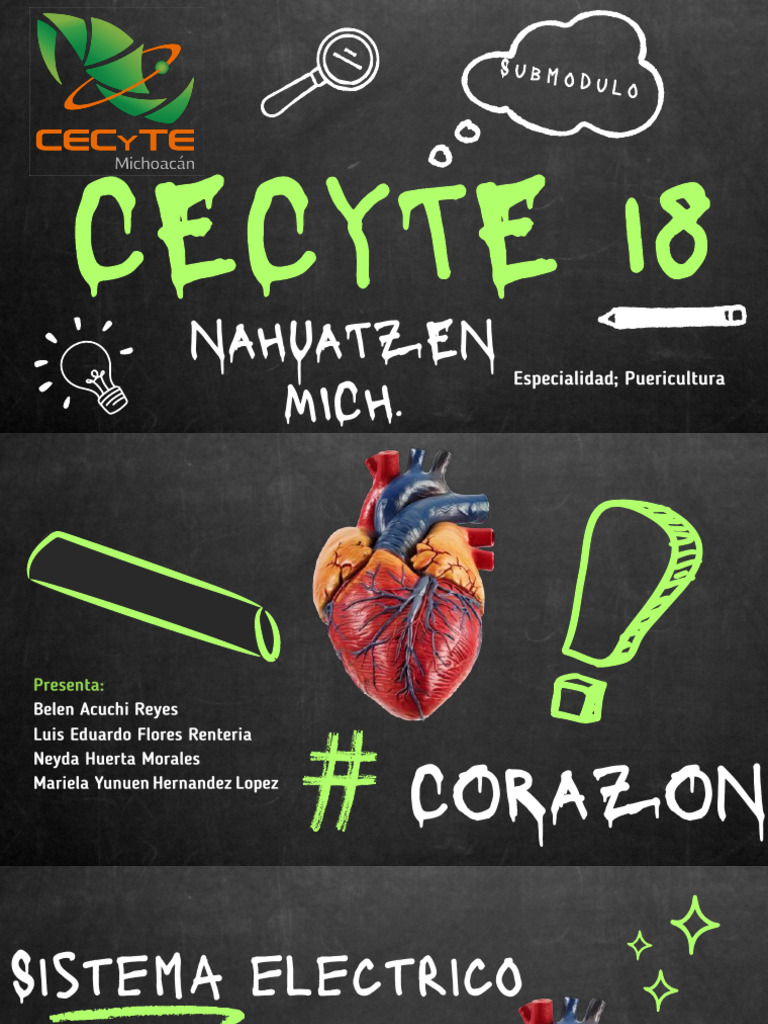El Corazon y Su Electricidad | PDF | Corazón | Ventrículo (corazón)