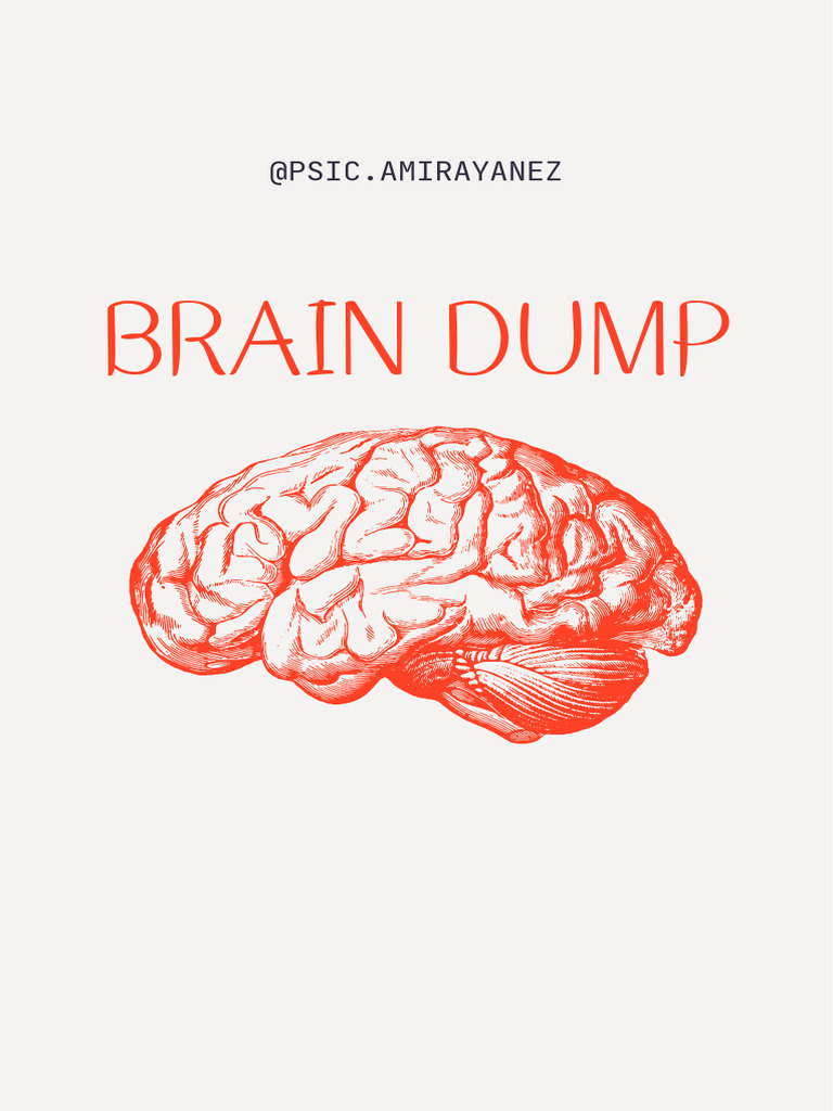 Brain Dump | PDF