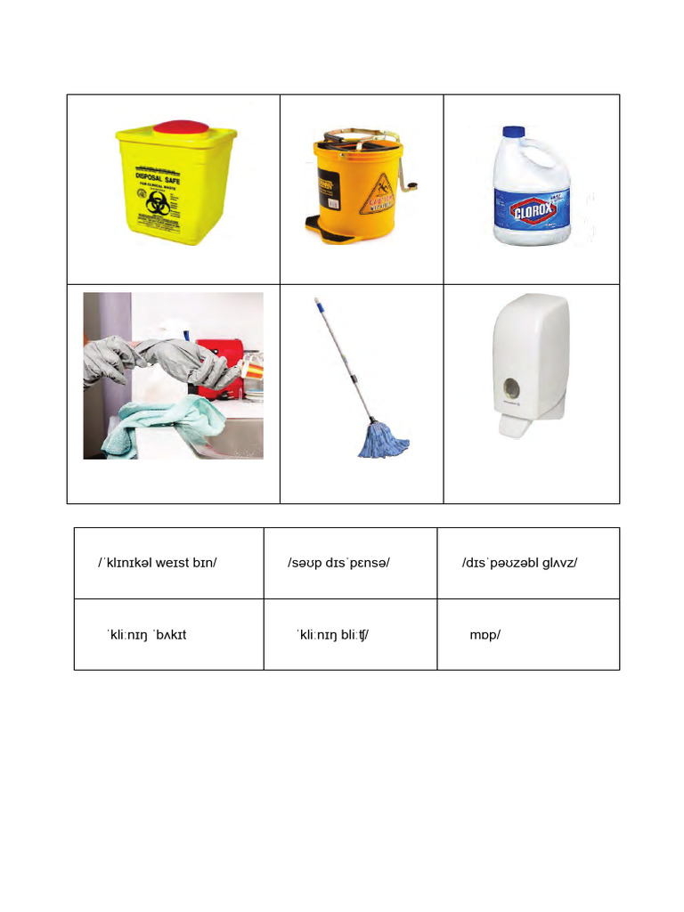 in Pairs, Label Each Picture Correctly. Use The Given Words in The Box ...