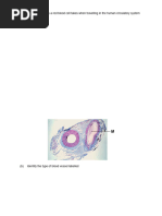 Tissue Fluid Formation in Capillaries | PDF | Lymph | Vein