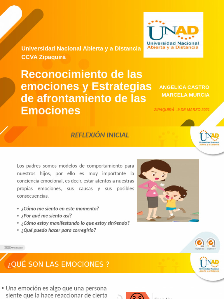 Estrategias para el Manejo Emocional | PDF | Las emociones | Comunicación