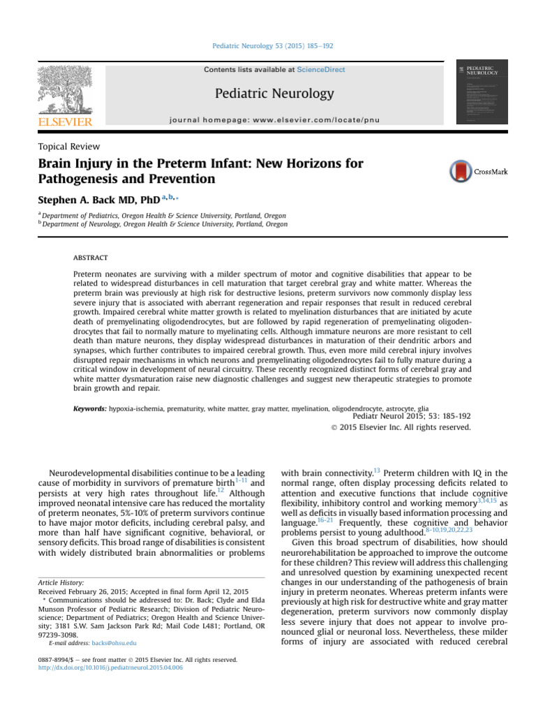 Brain Injury in The Preterm Infant New Horizons For Pathogenesis and ...
