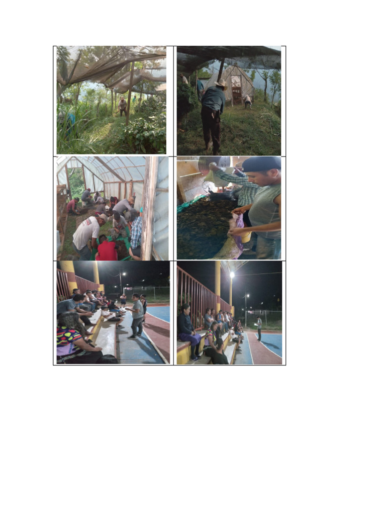 Doc2 evidencia | PDF