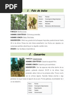 Definición y Características del Cauce | PDF