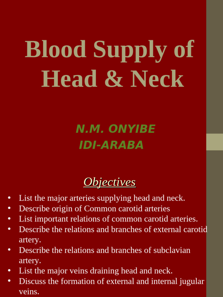 Blood Supply Head Neck | PDF | Common Carotid Artery | Vein