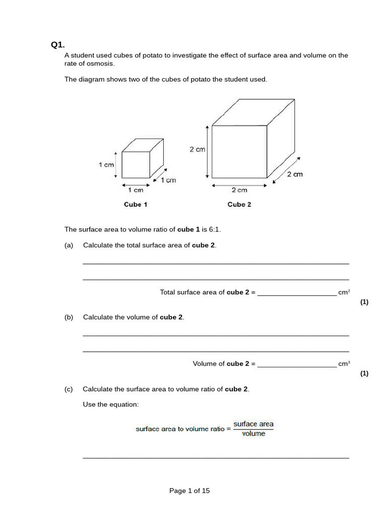 Diffusion Osmosis and Active Transport Questions 1 | PDF | Stoma ...
