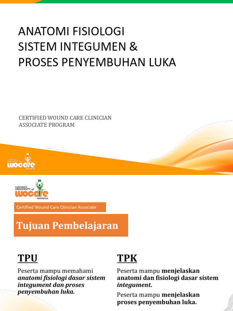 CWCCA - Anatomi Fisiologi Proses Penyembuhan Luka | PDF | Healing ...